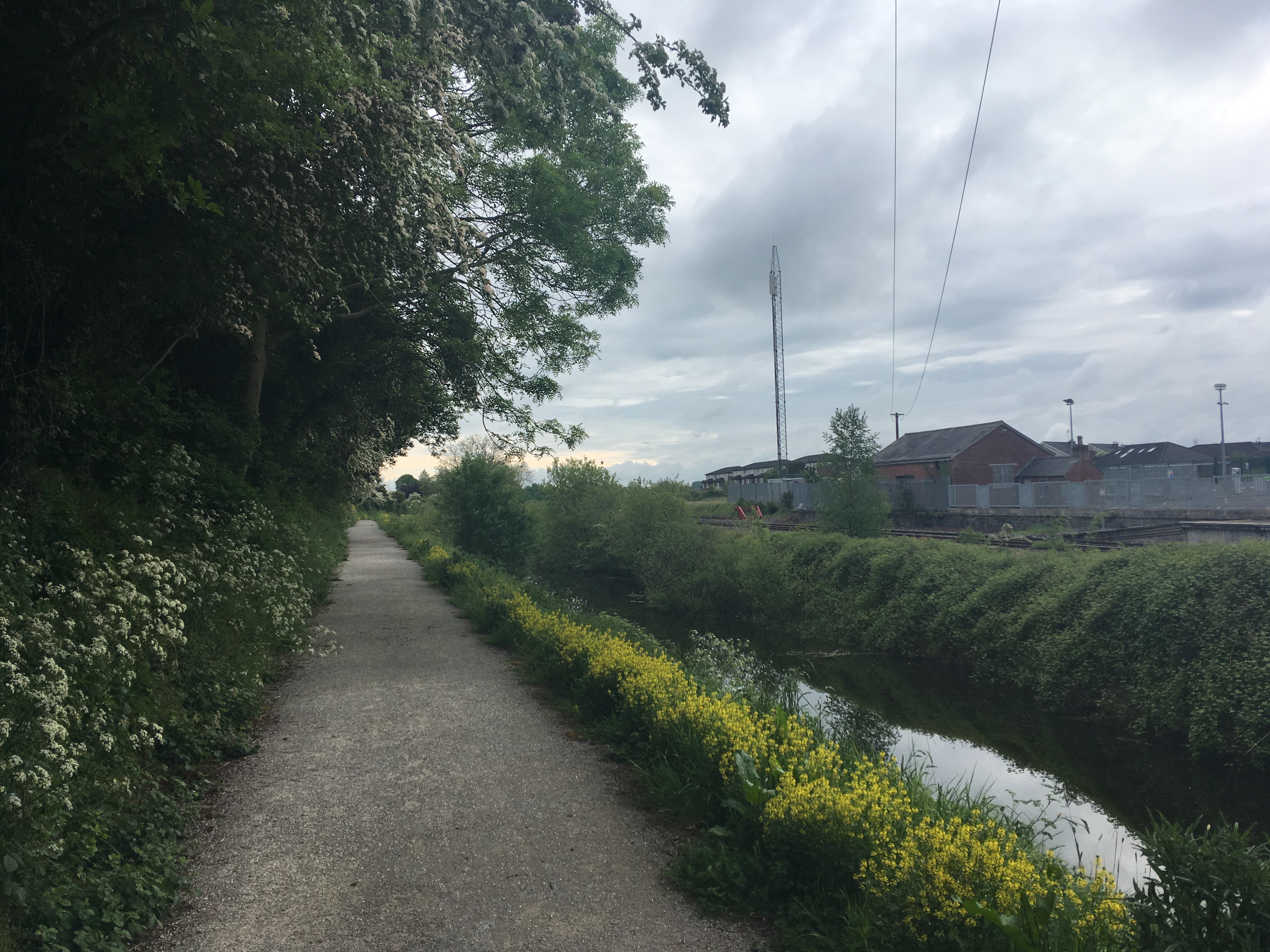 Royal Canal Greenway: Maynooth to Enfield – Royal Canal Runner