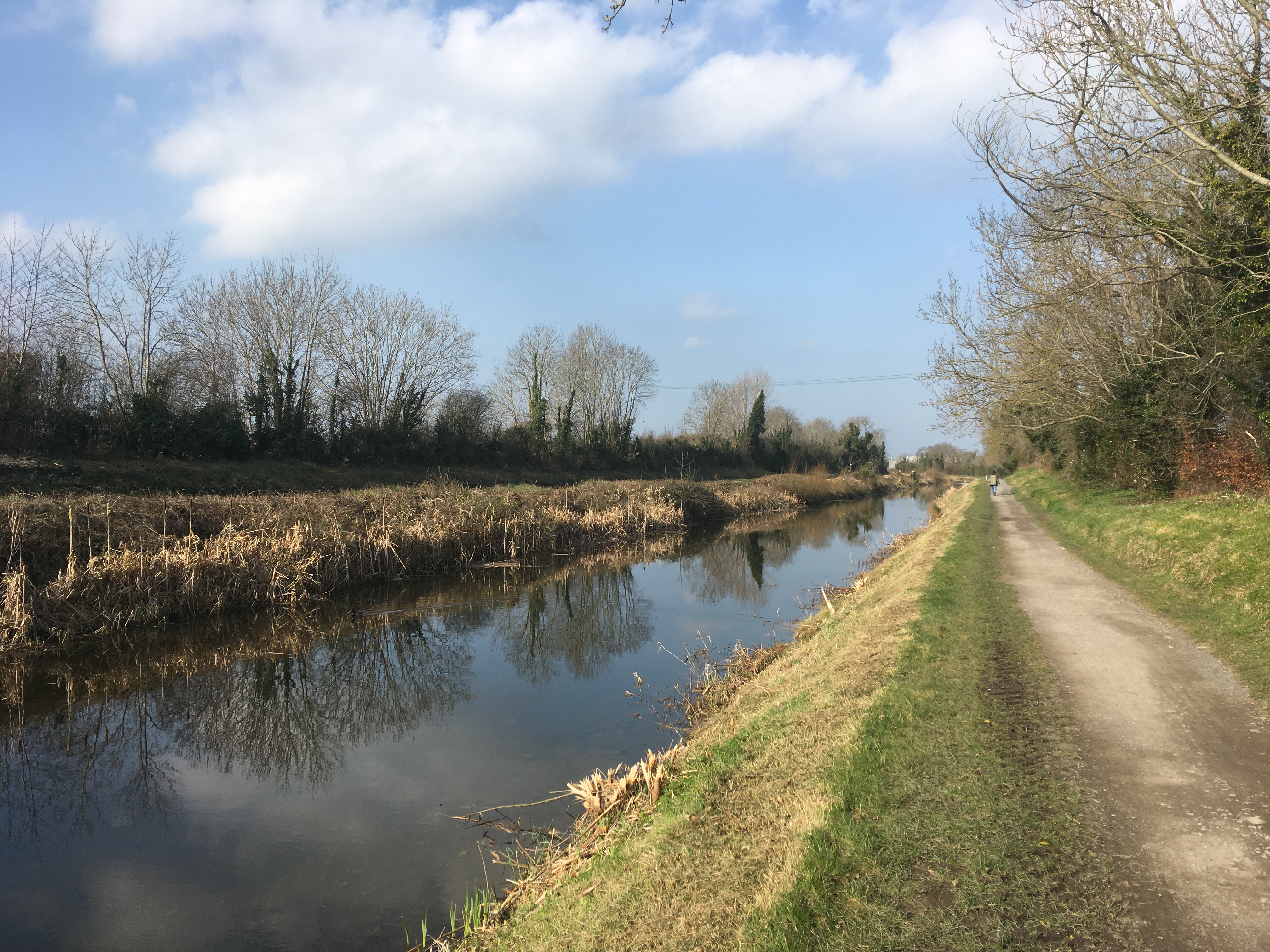 Royal Canal Runner – Exploring the Banks of Ireland's Historic Canals