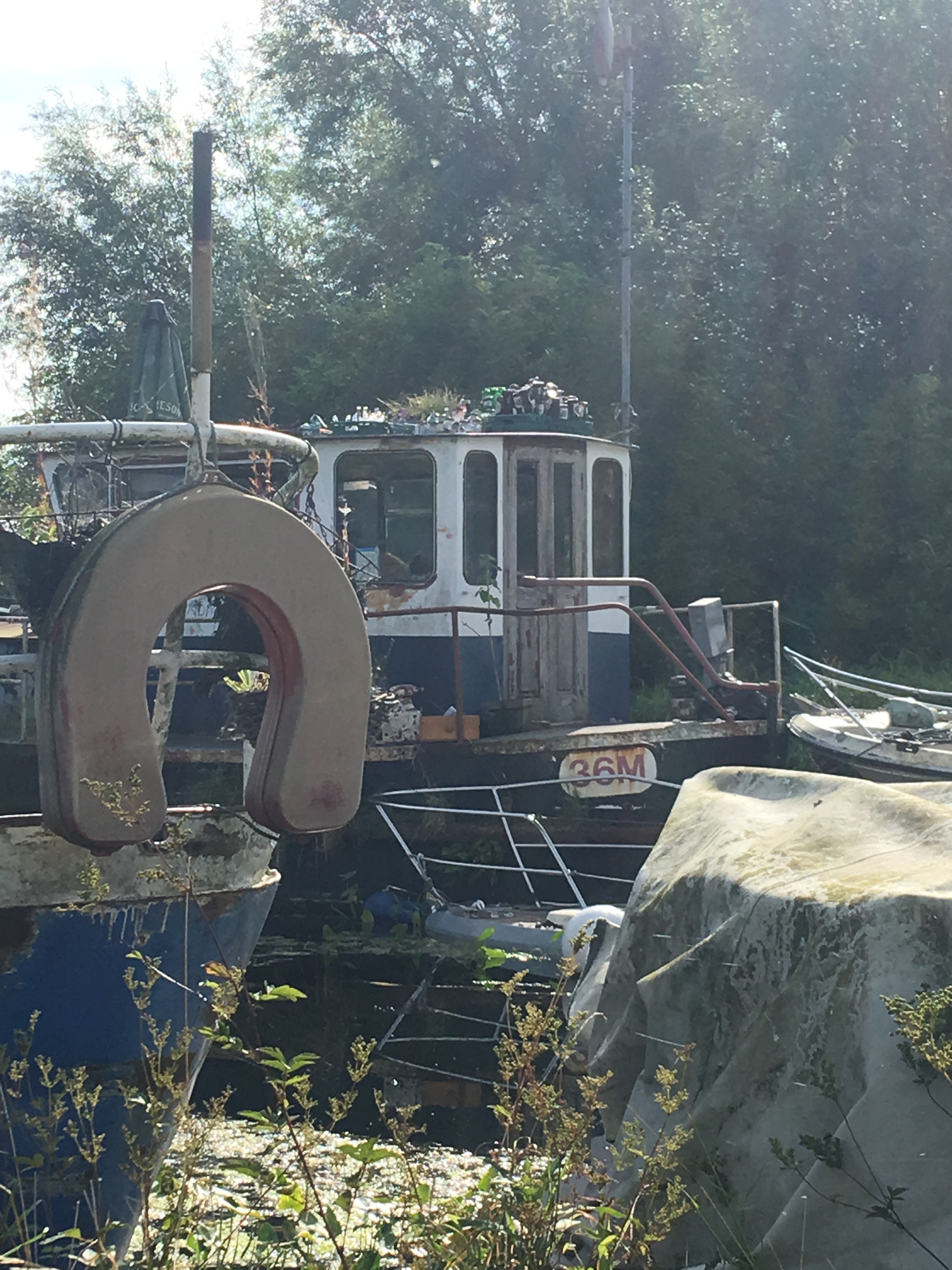 A Guide to Staying on the Right Side of the Grand Canal: Grand Canal ...