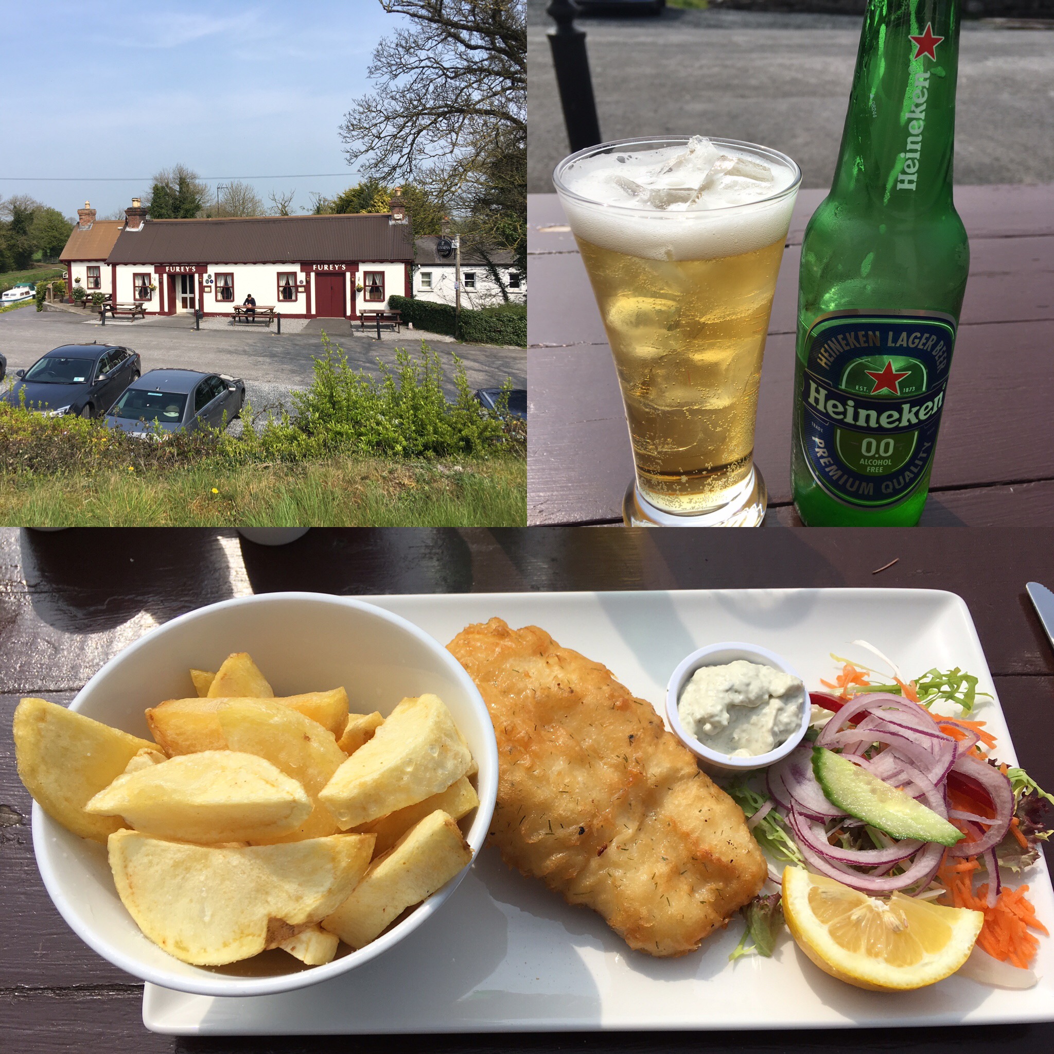 Royal Canal Greenway: Enfield to Thomastown – Royal Canal Runner