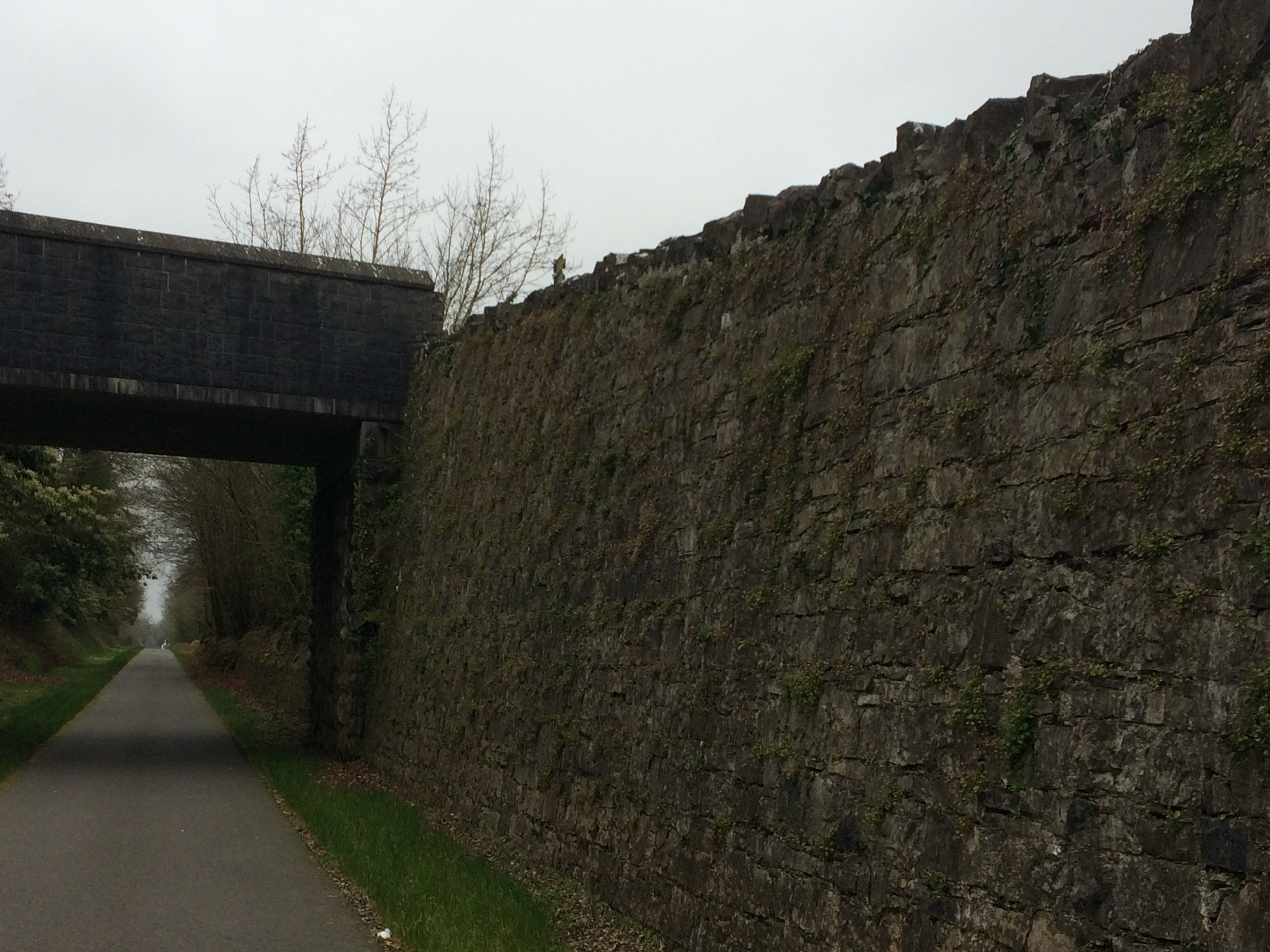 Cycling on the Old Rail Trail: Mullingar to Athlone – Royal Canal Runner