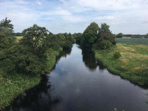 A Guide to Staying on the Right Side of the Grand Canal: Grand Canal ...