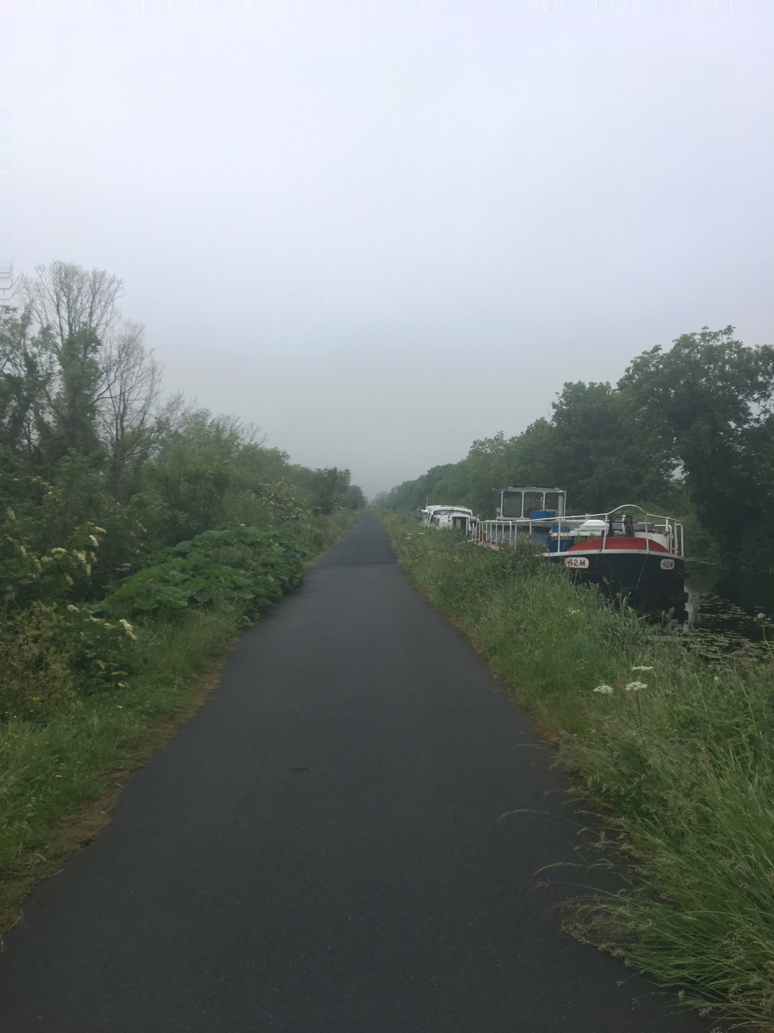 Walking on the Grand Canal: Hazelhatch to Sallins – Royal Canal Runner