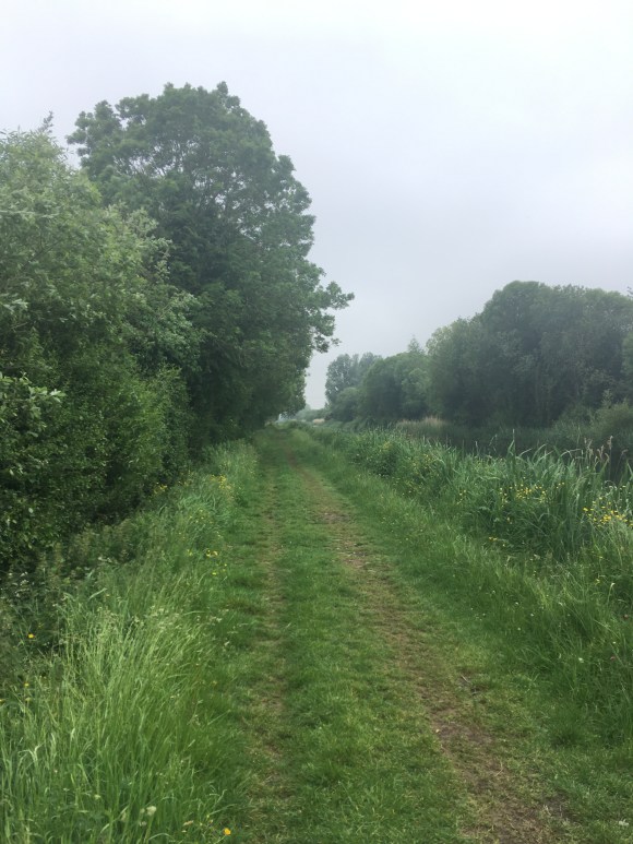 Grand Canal – Royal Canal Runner