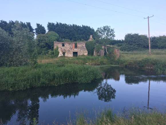 Walking on the Grand Canal: Naas Harbour to Corbally Harbour – Royal ...