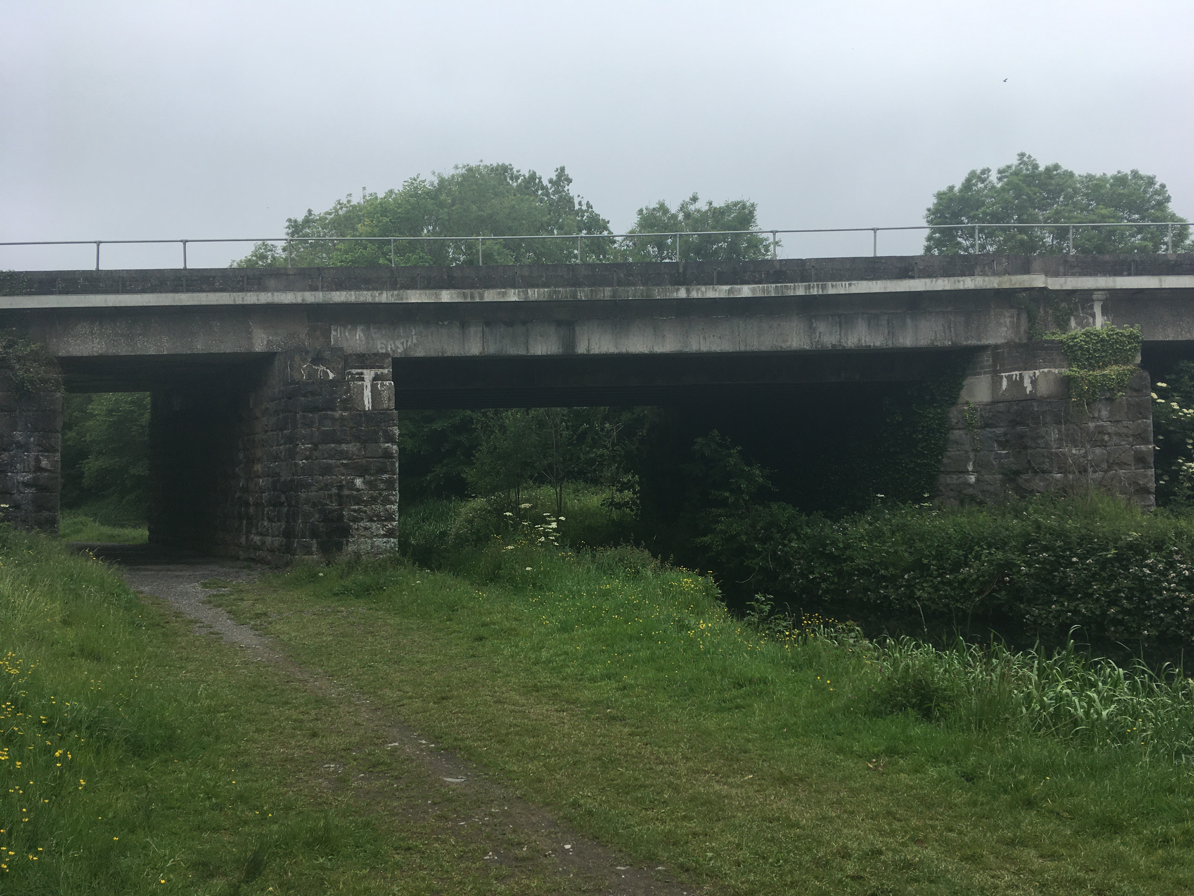 Walking on the Grand Canal: Hazelhatch to Sallins – Royal Canal Runner